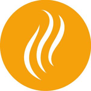Thermography_icon – Holistic Health Center